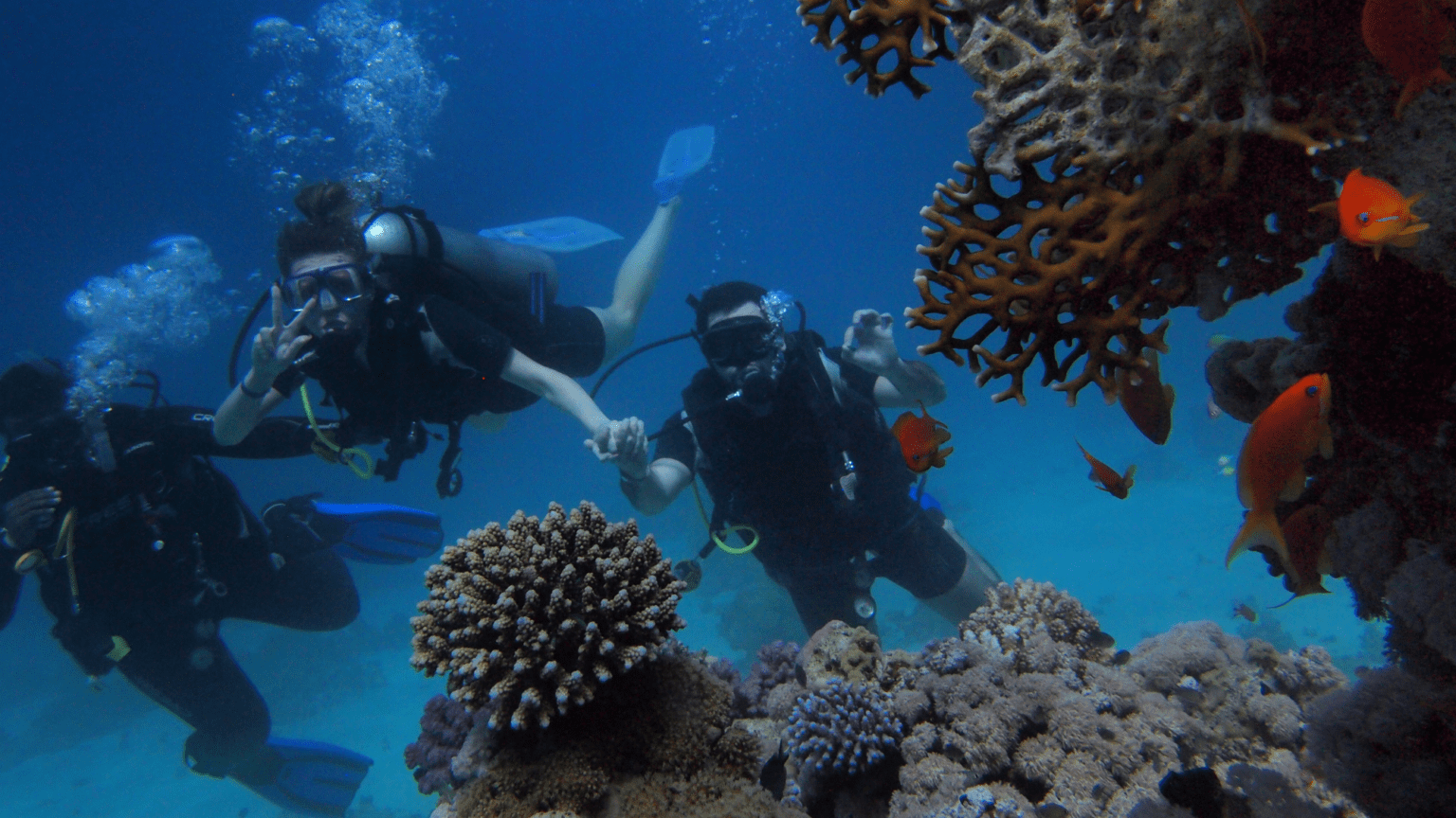 Beginner’s Guide to Muck Diving Etiquette and Safety - Casalay Boutique ...